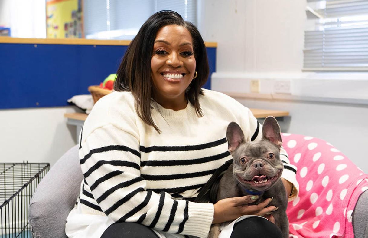 How To Watch For The Love Of Dogs Season 12 In Europe Free